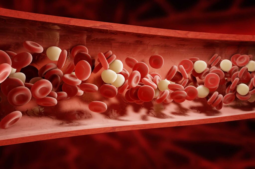 Scientists Create Artificial Blood for Patients of any Blood Type - How ...