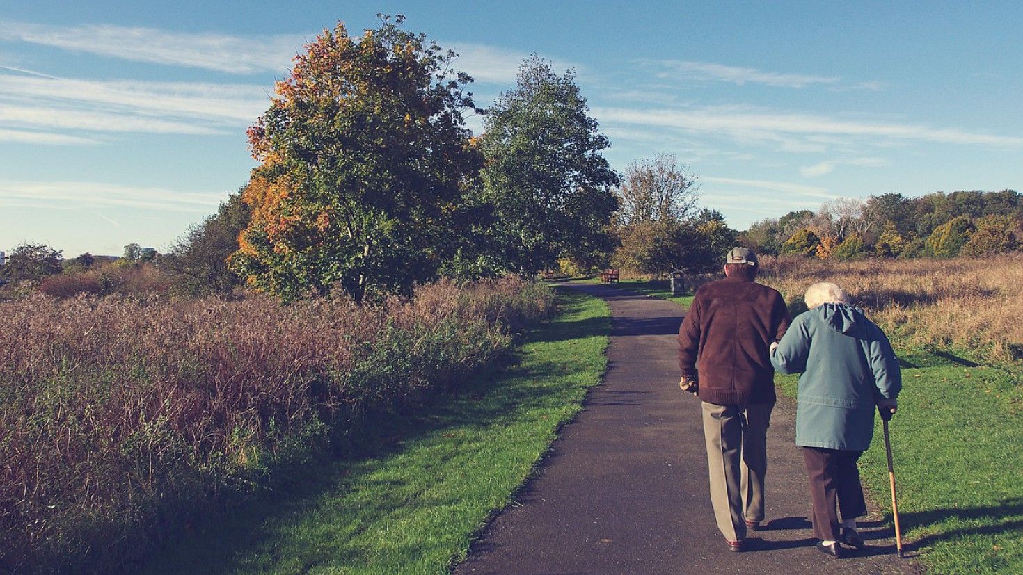 Why Do You Get Shorter as You Age? - How About That?