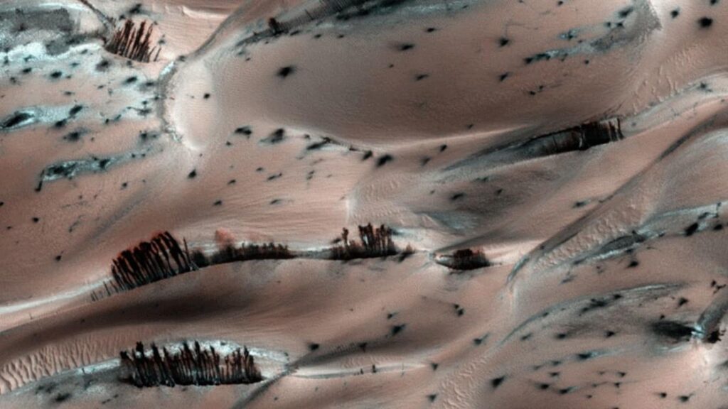 The Strangest Photos from the Surface of Mars - How About That?